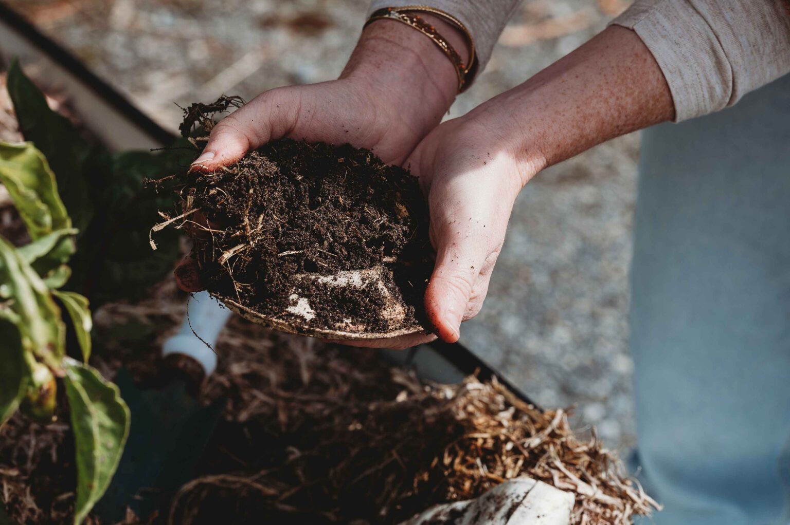 The Ultimate Guide to Compostable Packaging Materials 2025 ...